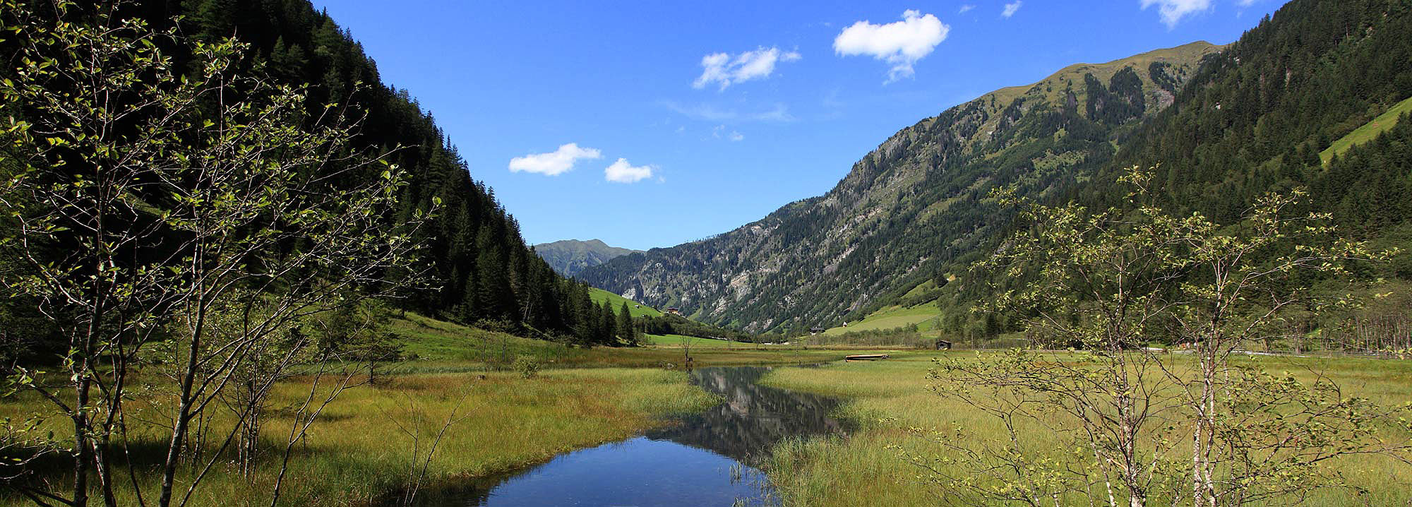 Appartement | Haus Fercher Grossarltal